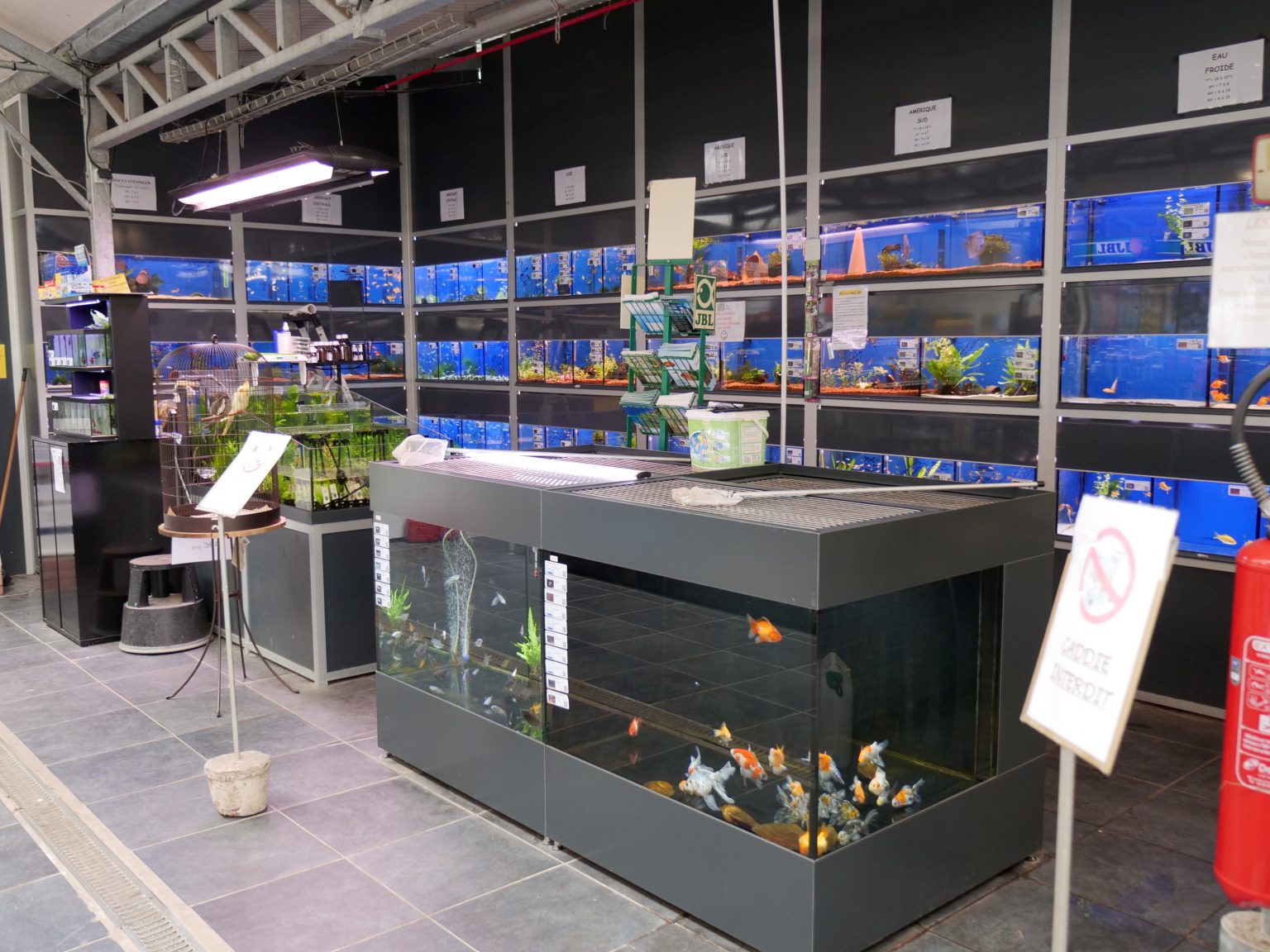 POISSONS – Les serres du manoir
